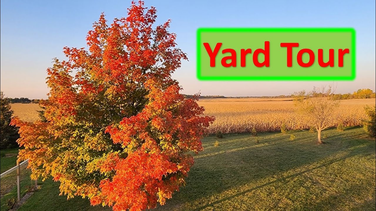 Beautiful Fall Color Yard TOUR part 2 - YouTube