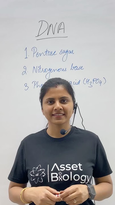 DNA | Polynucleotide Chain |Molecular basis of Inheritance | Class 12 Biology | NCERT |NEET ...