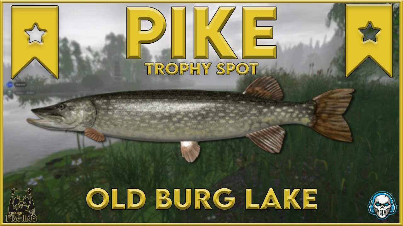PIKE TROPHY SPOT! OLD BURG LAKE - Russian Fishing 4 #rf4 - YouTube