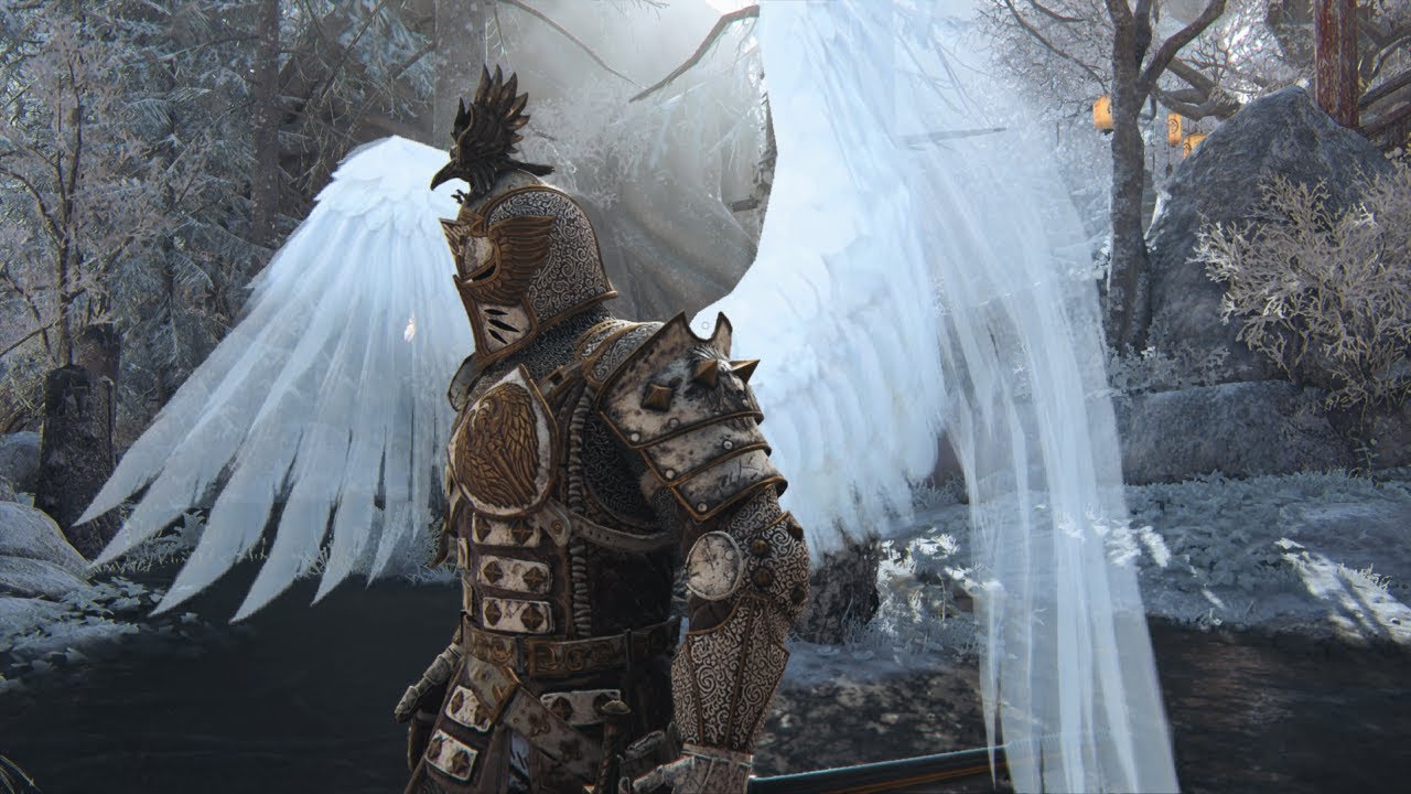 The Phoenix Has Wings: Rep 70 Warden - YouTube