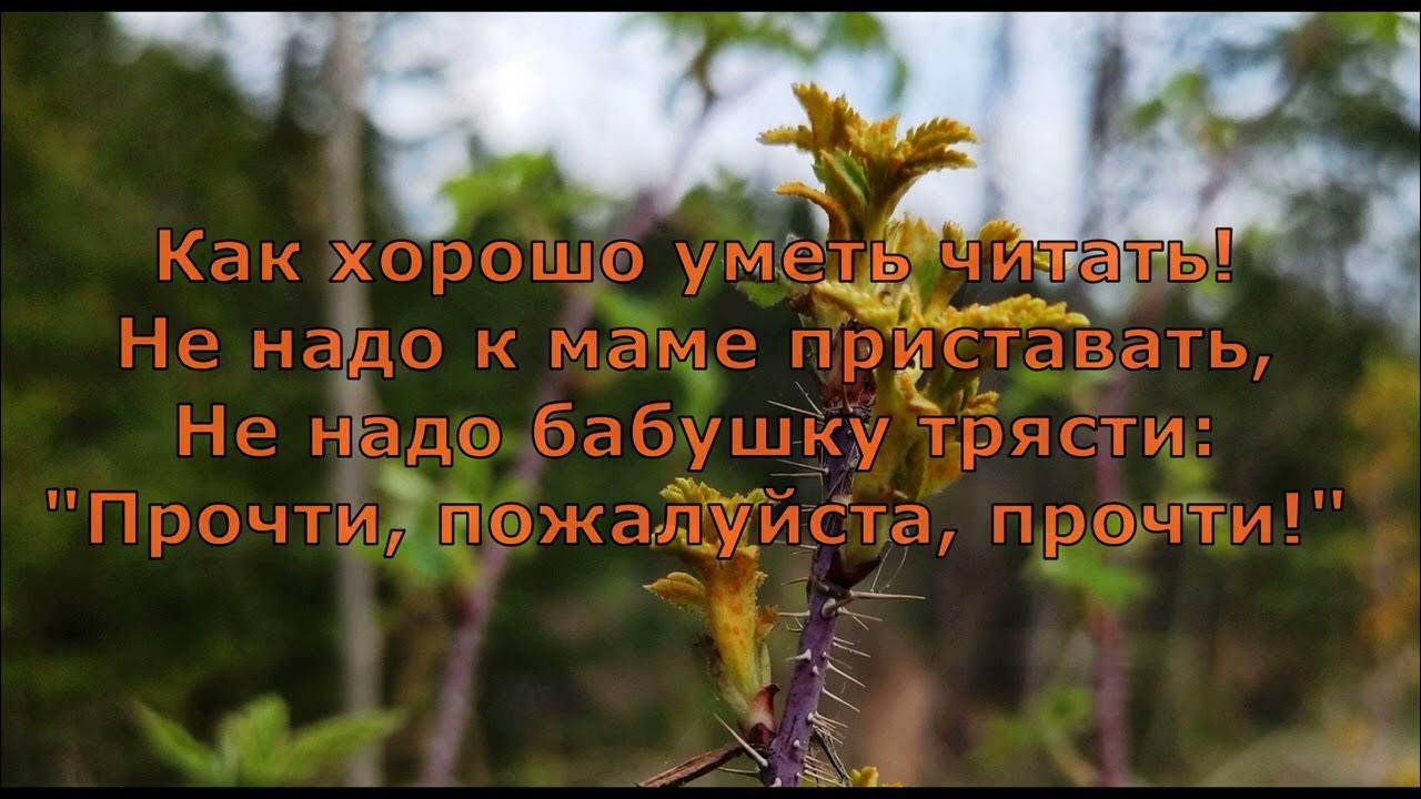 В Берестов Как хорошо уметь читать! - YouTube