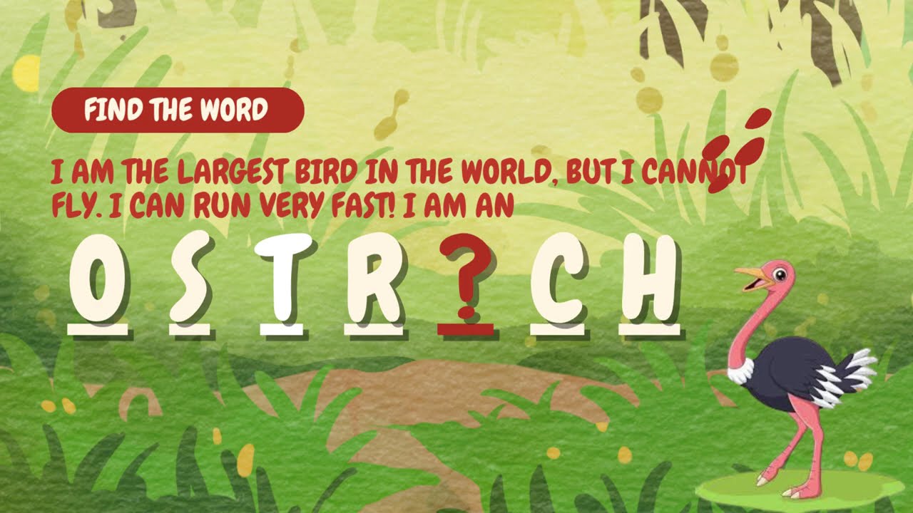 🦜 Can You Guess the Bird? 🦉🔍 | Ultimate Bird Quiz! - YouTube