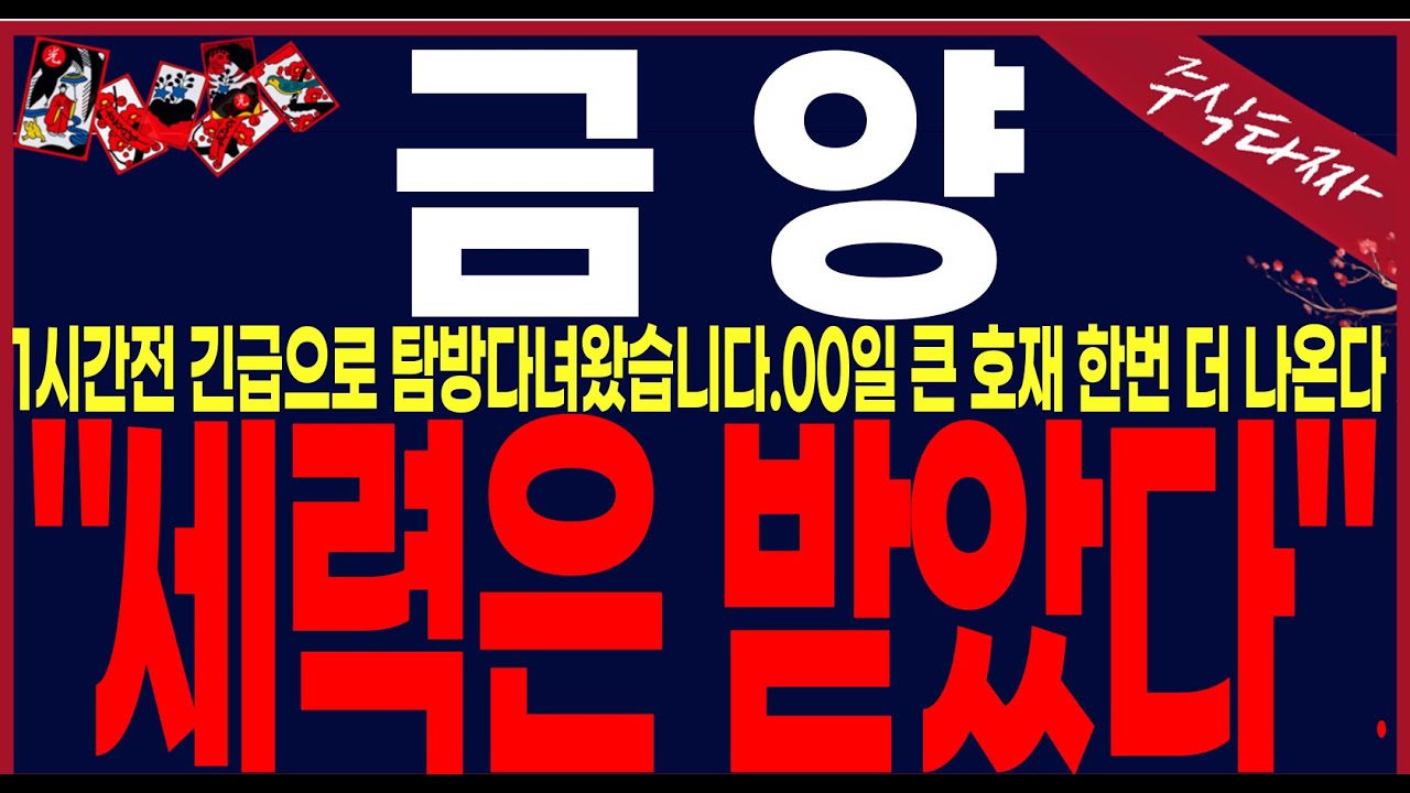 금양 주가전망 긴급탐방00일에 초대형공시하나더나옵니다12월은 이렇게하시면 꽃길만걸으실겁니다금양주가전망 금양대응전략 금양주식전망 금양주가분석 이차전지