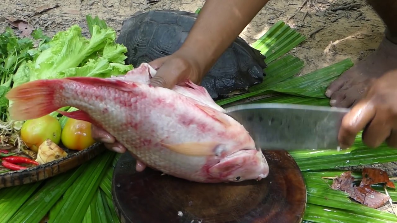 Technique Cooking Red Fish for Food eating Delicious - Cook Red Fish ...