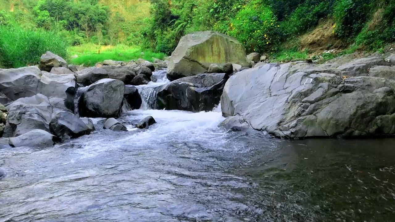 Relaxing river sounds, Gentle water stream for Deep sleep, Flowing ...