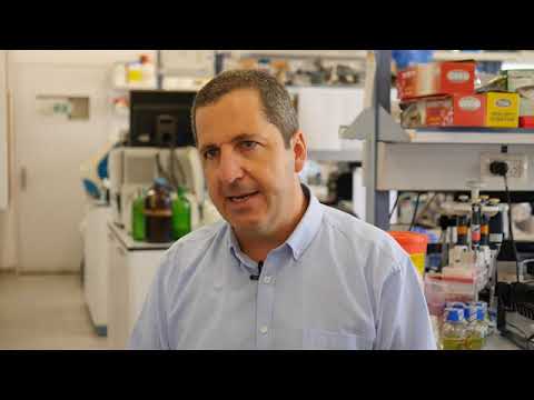 Fenofibrate effective in treatment of COVID-19 | Prof. Yaakov Nahmias | Hebrew University
