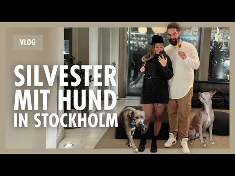 Urlaub Mit Hund In Schweden - Silvester In Stockholm