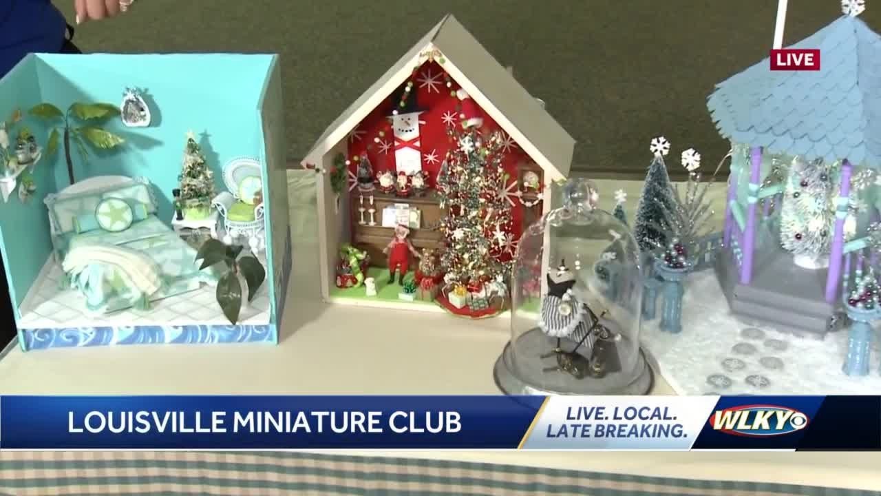 Louisville Miniature Club hosts show and sale - YouTube