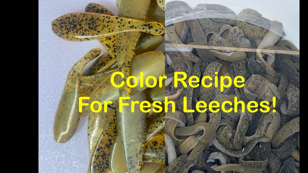 Color Match Attempt On Leeches! - YouTube