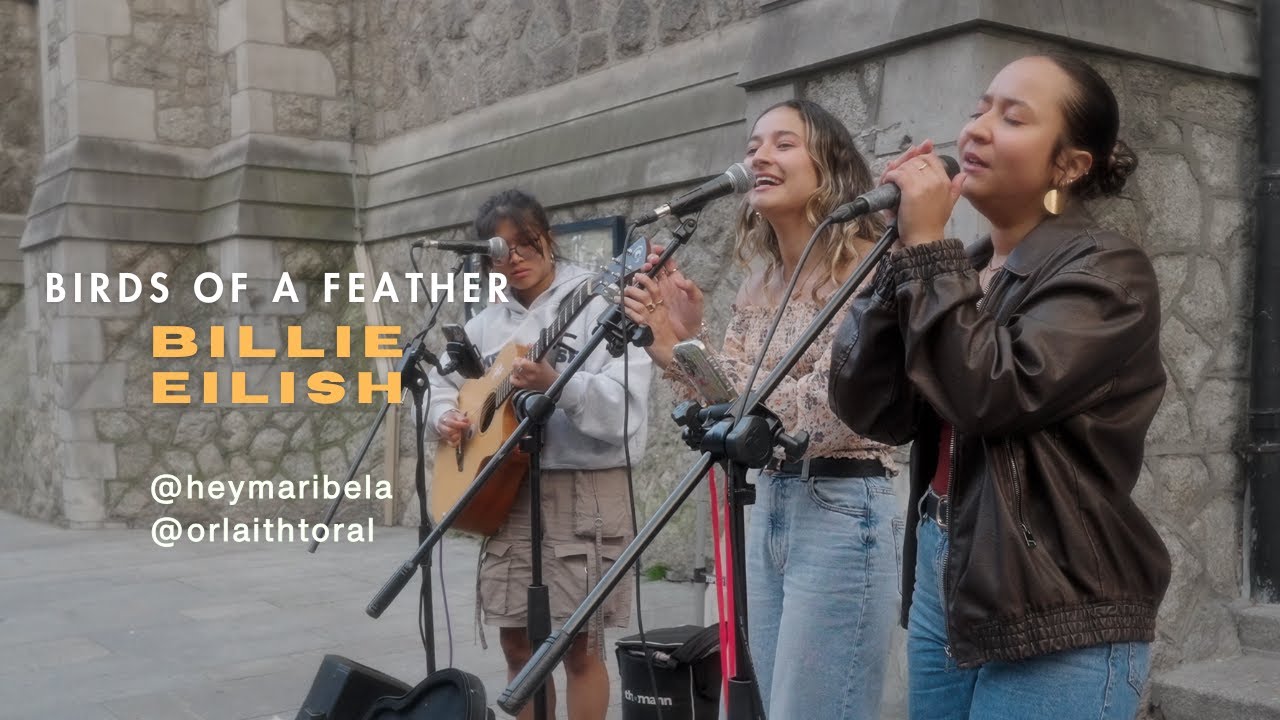 Mari & Iza@heymaribela, Orlaith@orlaithtoral , beautiful cover BIRDS OF ...