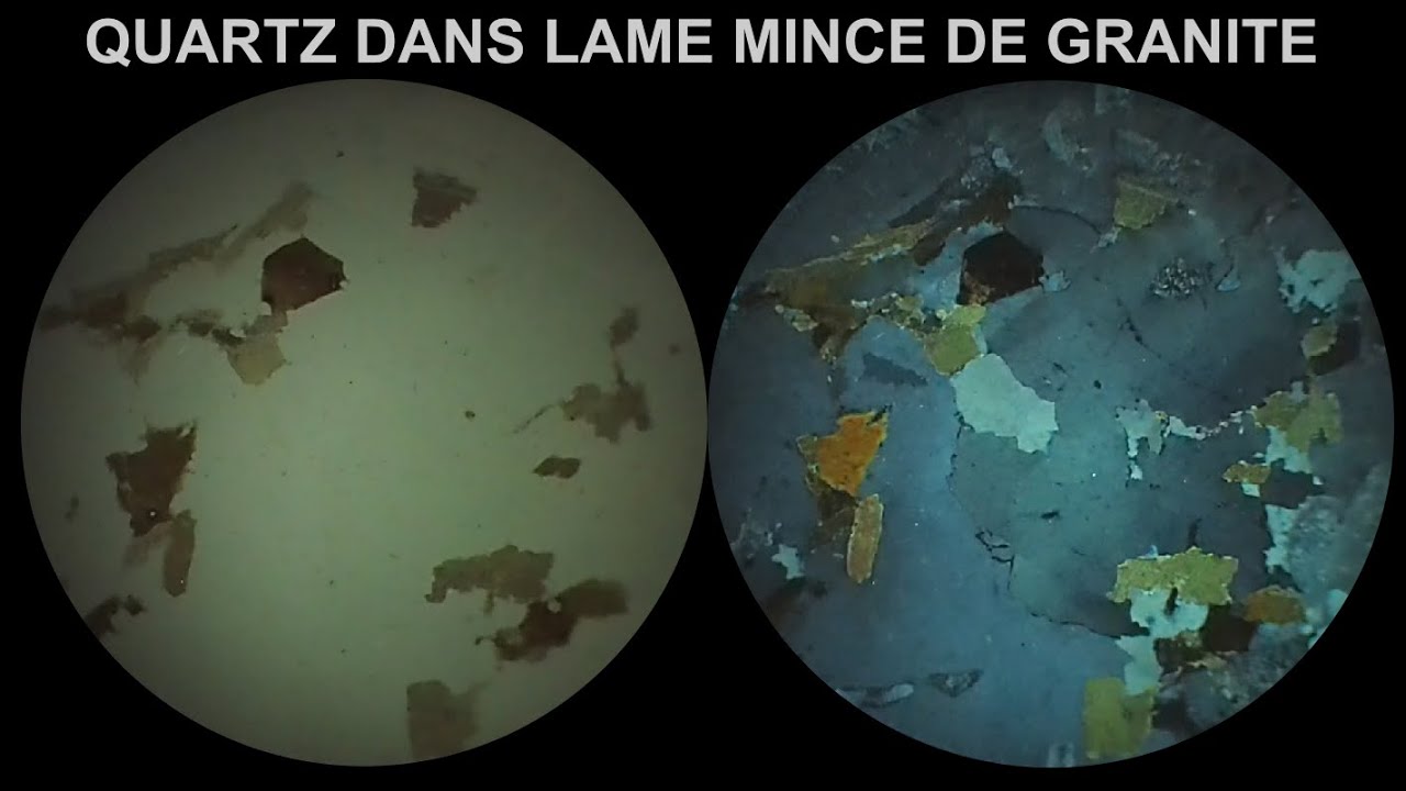 Quartz SiO2 dans une granite Immersion 360° LPnA vs LPA x 40 - YouTube