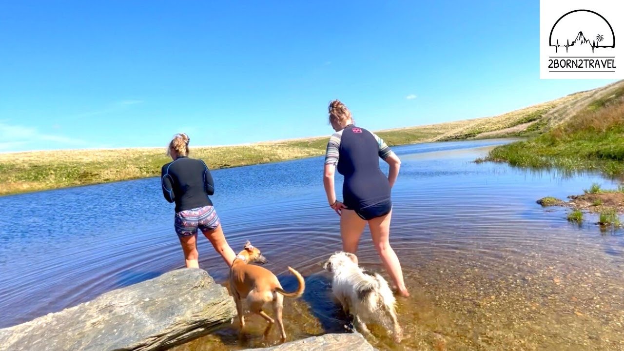 WILD SWIMMING on Exmoor with the DOGS || Day 31 - YouTube