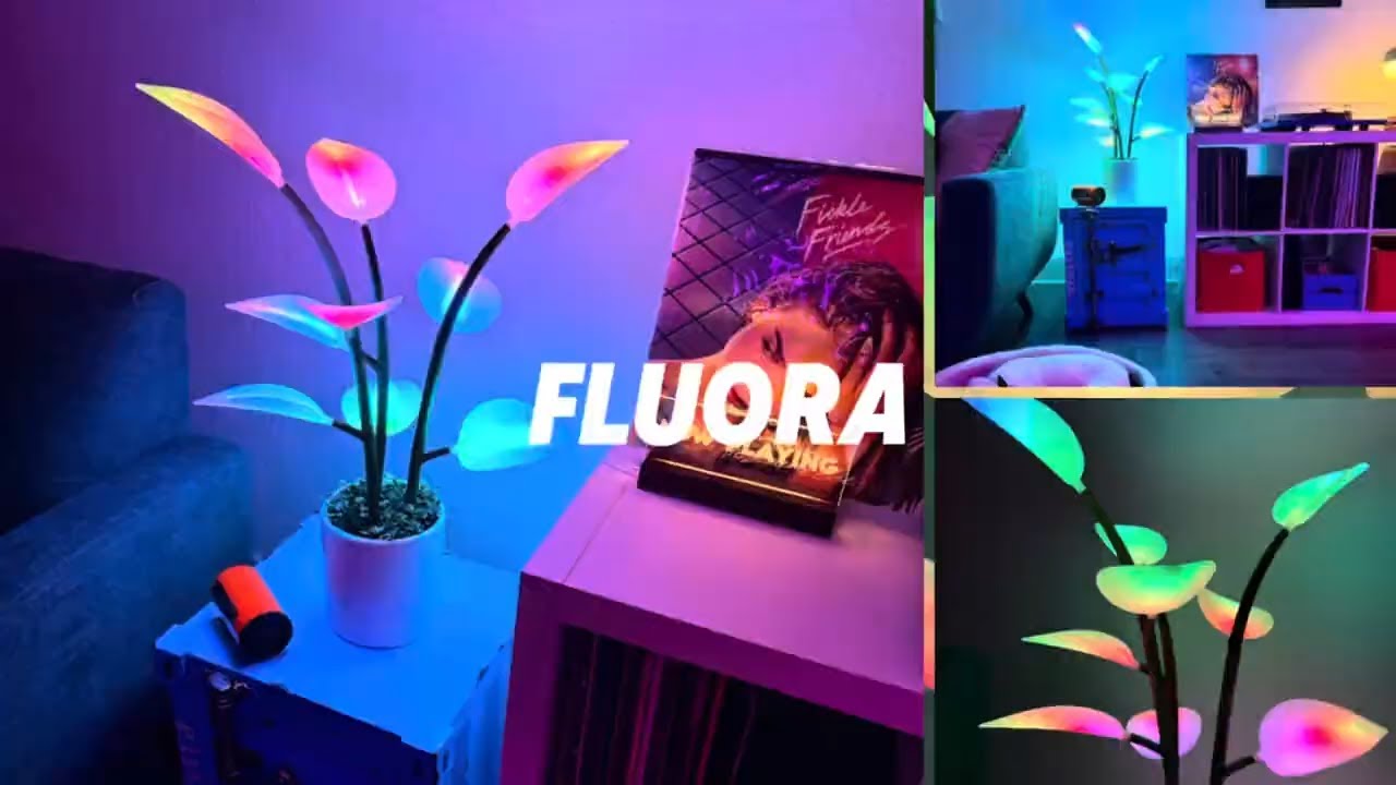 Unboxing y primeras impresiones de la Fluora Mini - YouTube