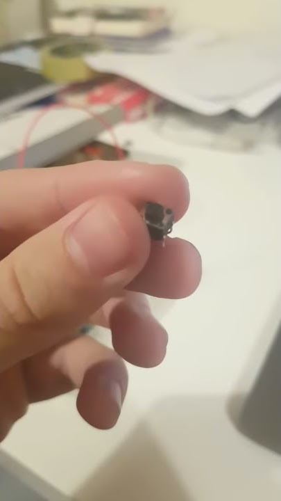 Debouncing On a Push Button - YouTube