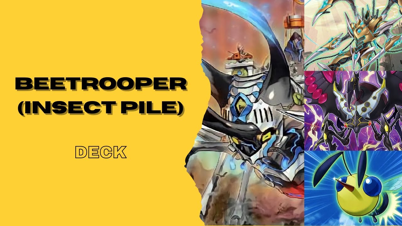 Beetrooper (Insect Pile) Deck - EDOPRO Replays & Decklist - YouTube