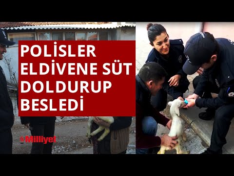 Polis, olay yeri incelemede kullanılan eldivenle kuzuya süt içirdi