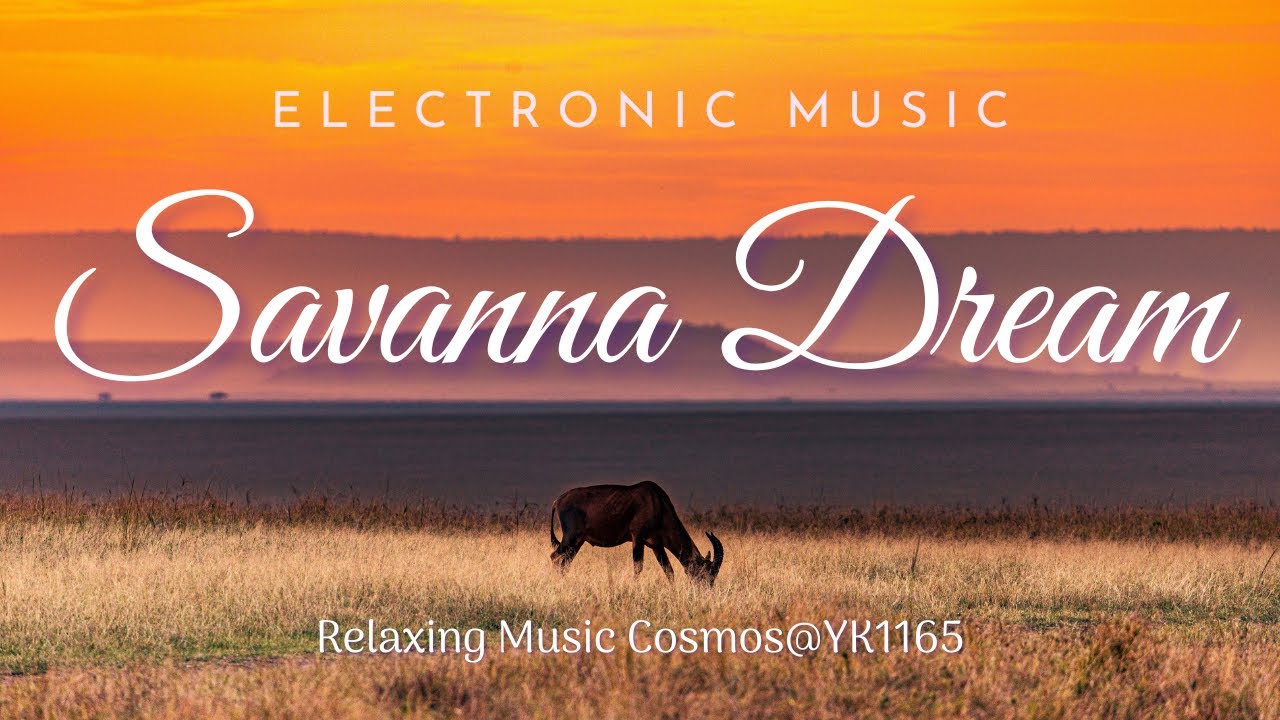 【Electronic Music】Savanna Dream - YouTube