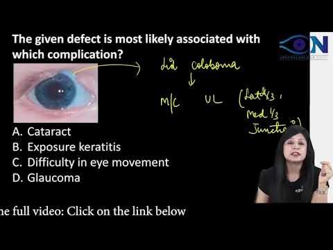 Rapid Revision PYQ-4 - YouTube