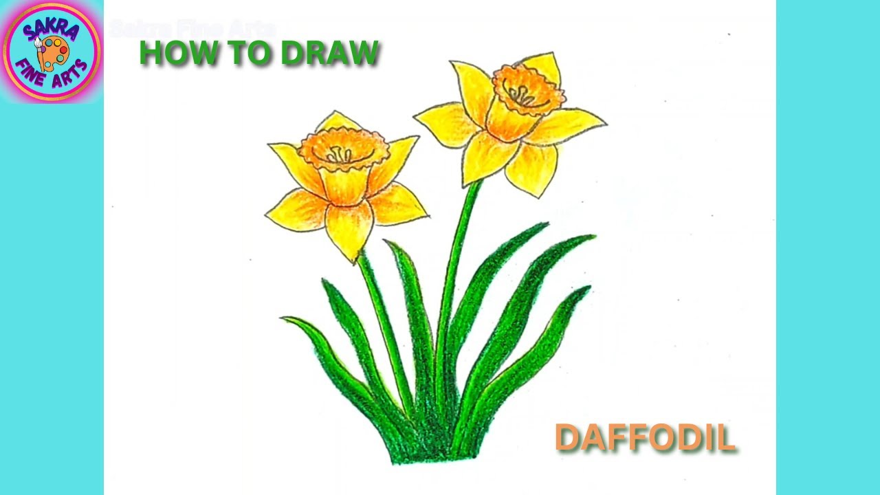 How to draw a Daffodil with color pencil / Easy step by step method for ...