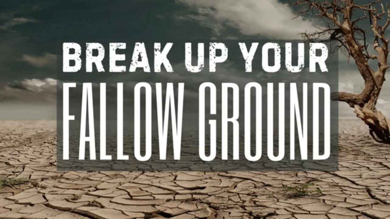 Revival - Break up your Fallow Ground - YouTube