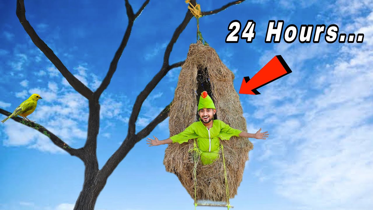 Living On Real birdhouse For 24 Hours | WE build birdhouse | a1 adventure - YouTube