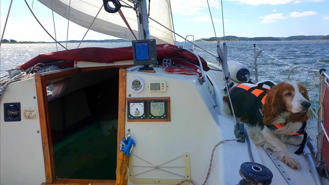 Albin Cirrus 78 "Gemini" (5) - YouTube