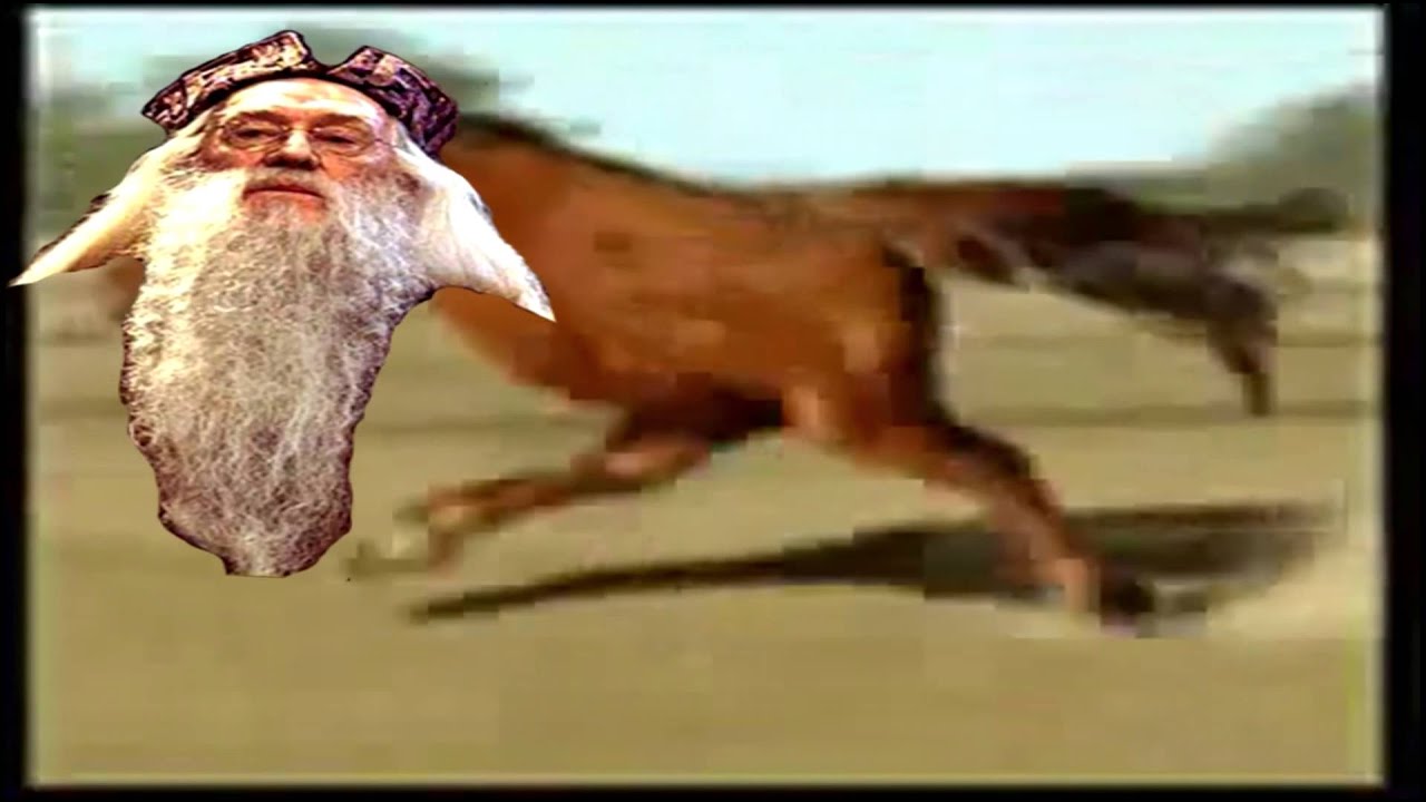 Retarded running Dumbledore Original - YouTube