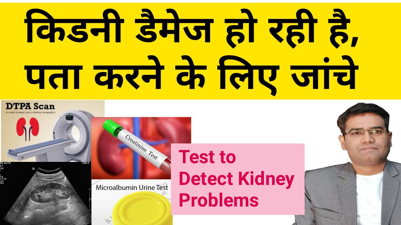Test to Detect Kidney Damage | Urea Creatinine | Urine Microalbuminuria ...