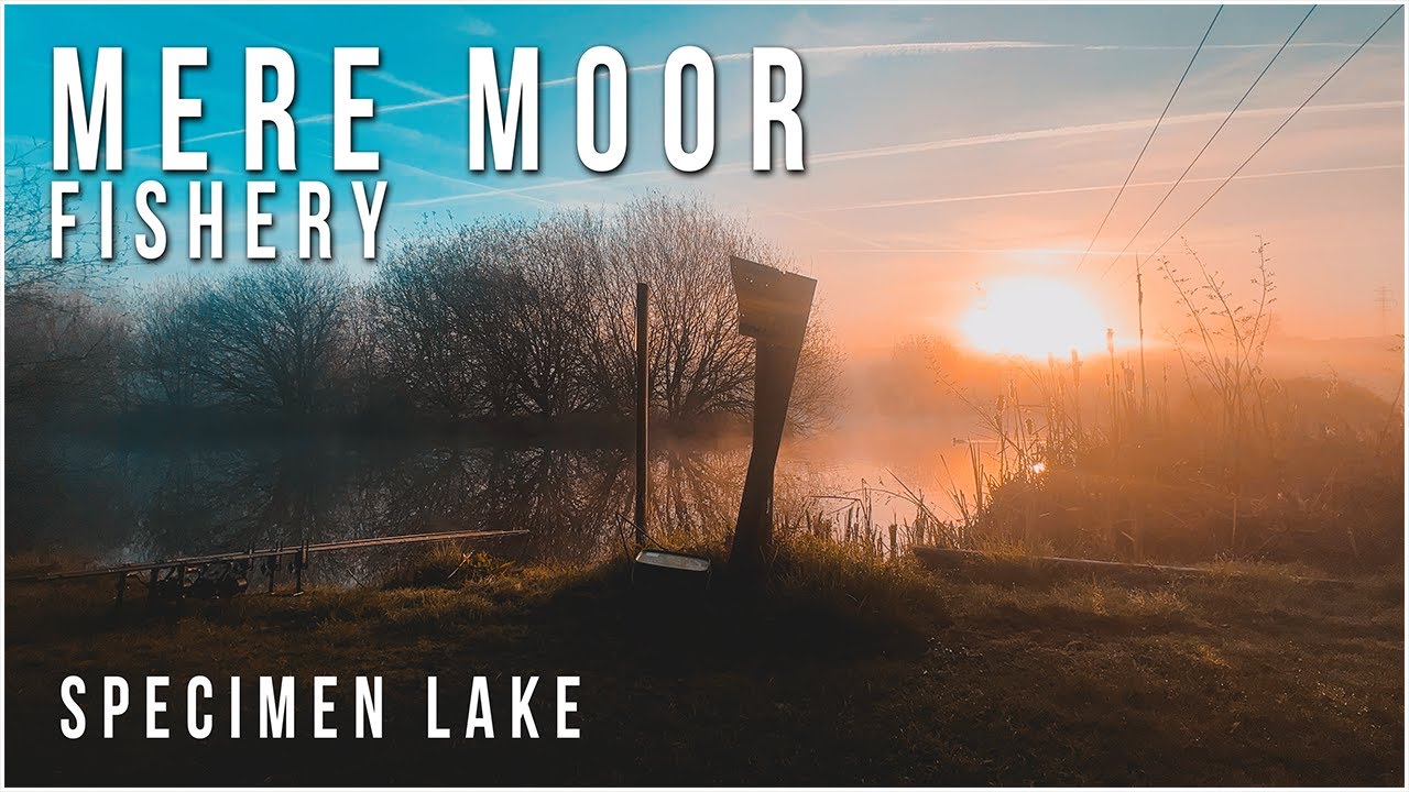 Mere Moor Fishery (Specimen Lake) - On The Bank! - Ep.8 - YouTube
