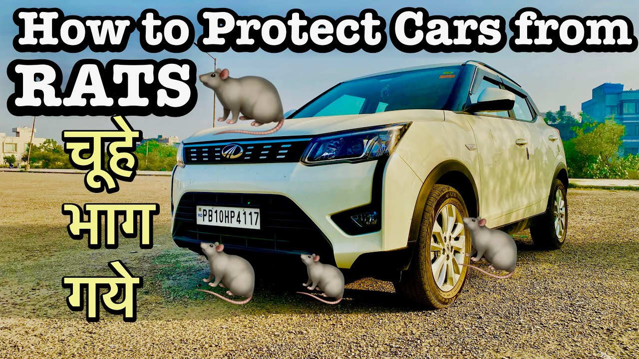 How to protect Car from Rats | how to save car from rats | #xuv300 ...