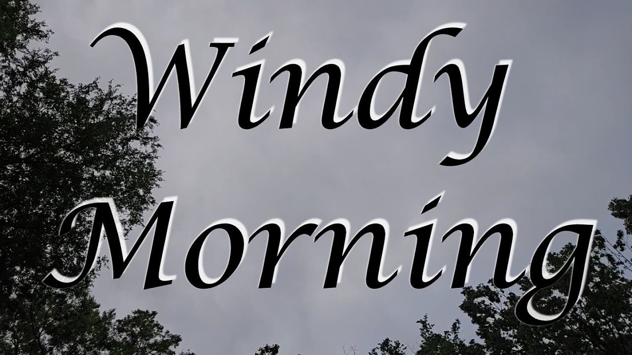 Windy Morning #wind #clouds #rain #nature #birds #relaxation # ...