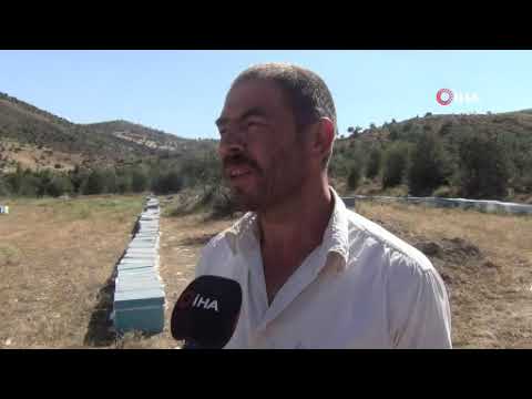 Muğla yangınının ateşi Afyonkarahisar’daki arıcıları da sardı