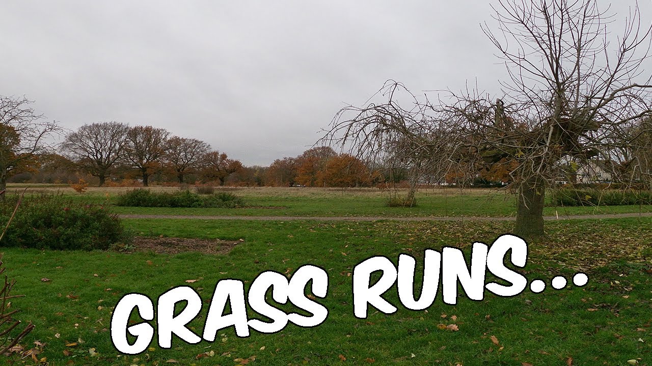 GRASS RUNS: WHY EVERY RUNNER SHOULD BE DOING THEM - YouTube