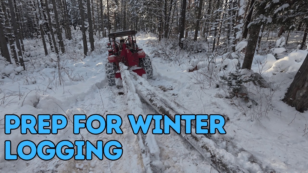 Beginning winter logging - YouTube