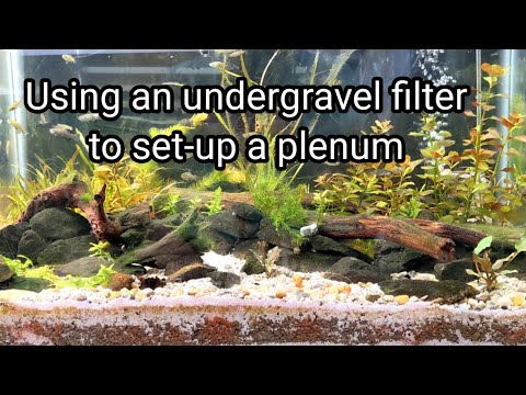 Using an undergravel filter to set-up a plenum - YouTube