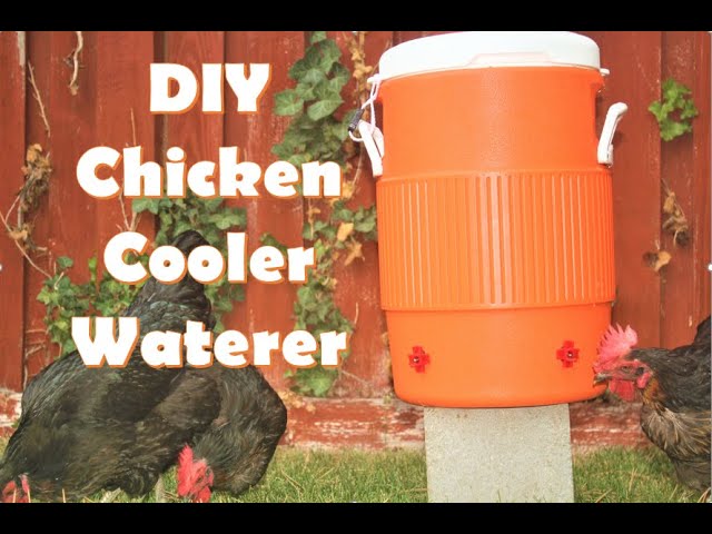 Home Made Chicken Water Container DIY Chicken Waterer And Feeder From