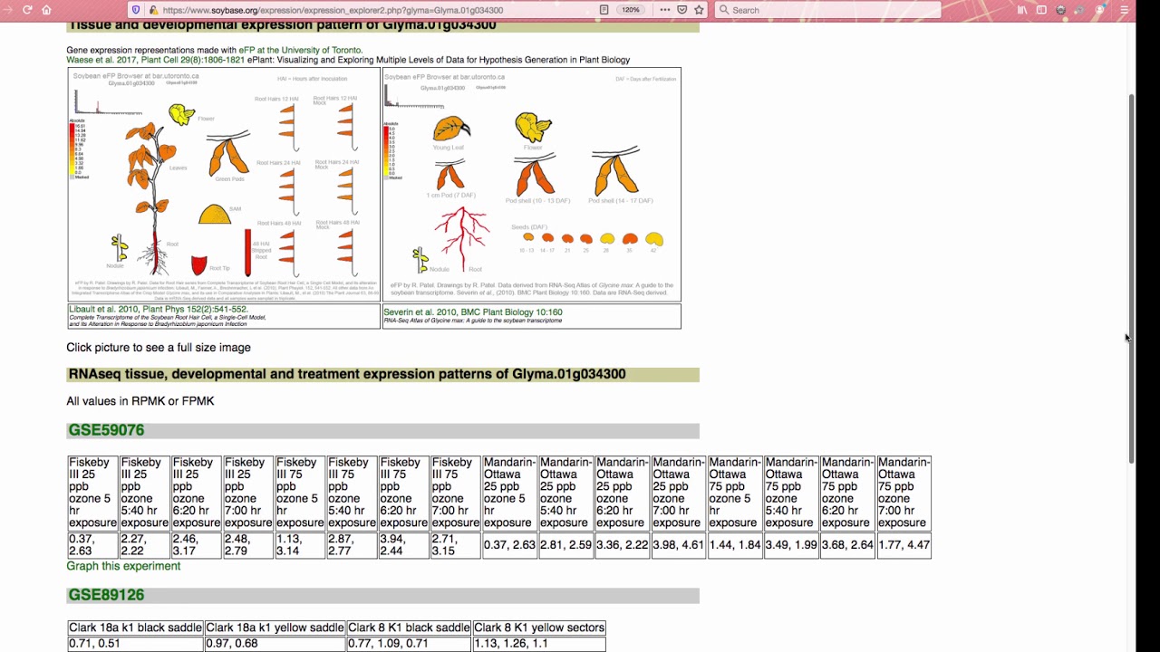 SoyBase Expression Explorer - YouTube