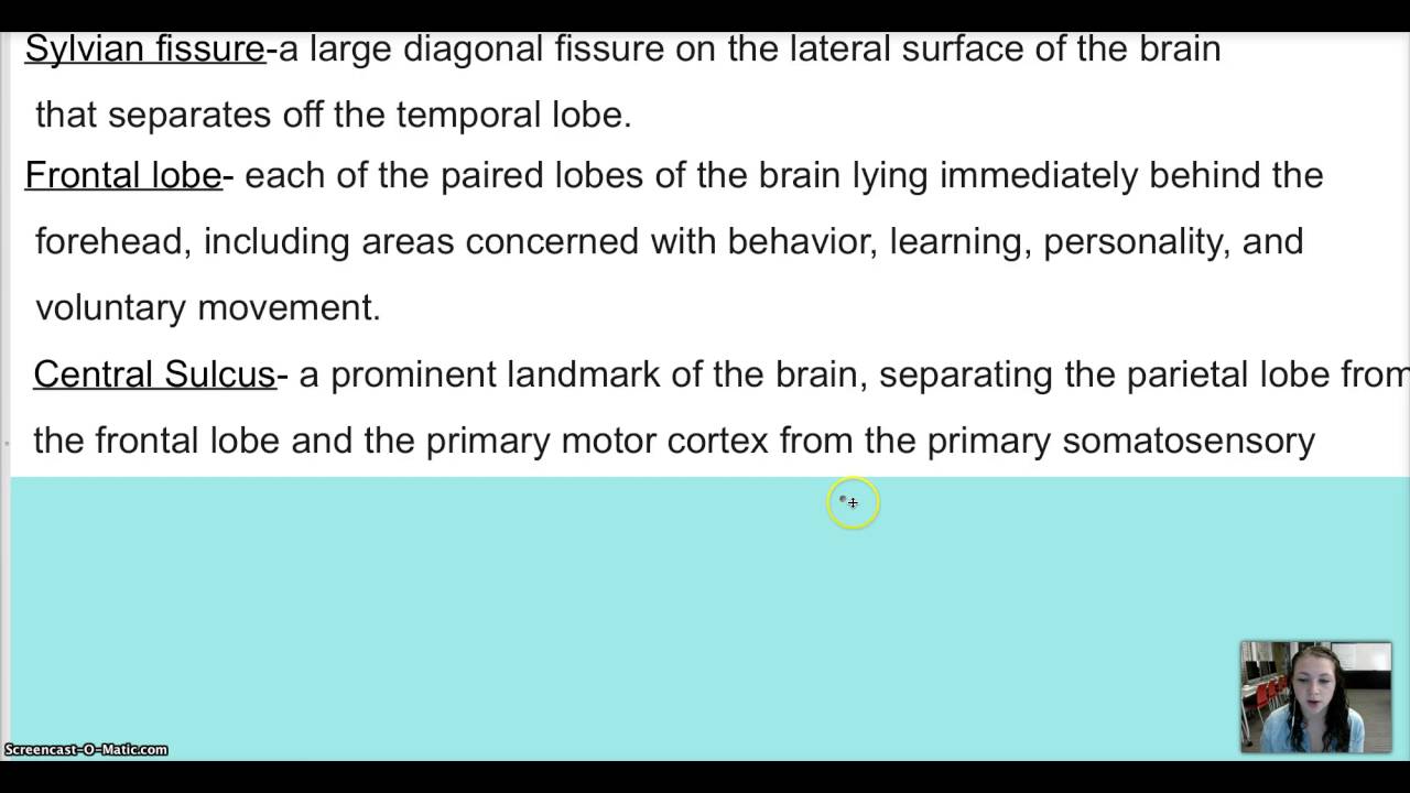 kayleigh hurley screencast - YouTube