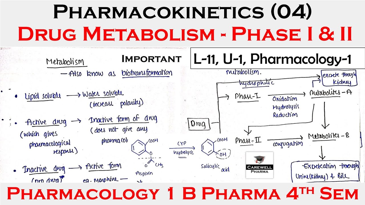 Pharmacokinetics (04) || Drug Metabolism - Phase I & II || L-11, Unit-1 ...
