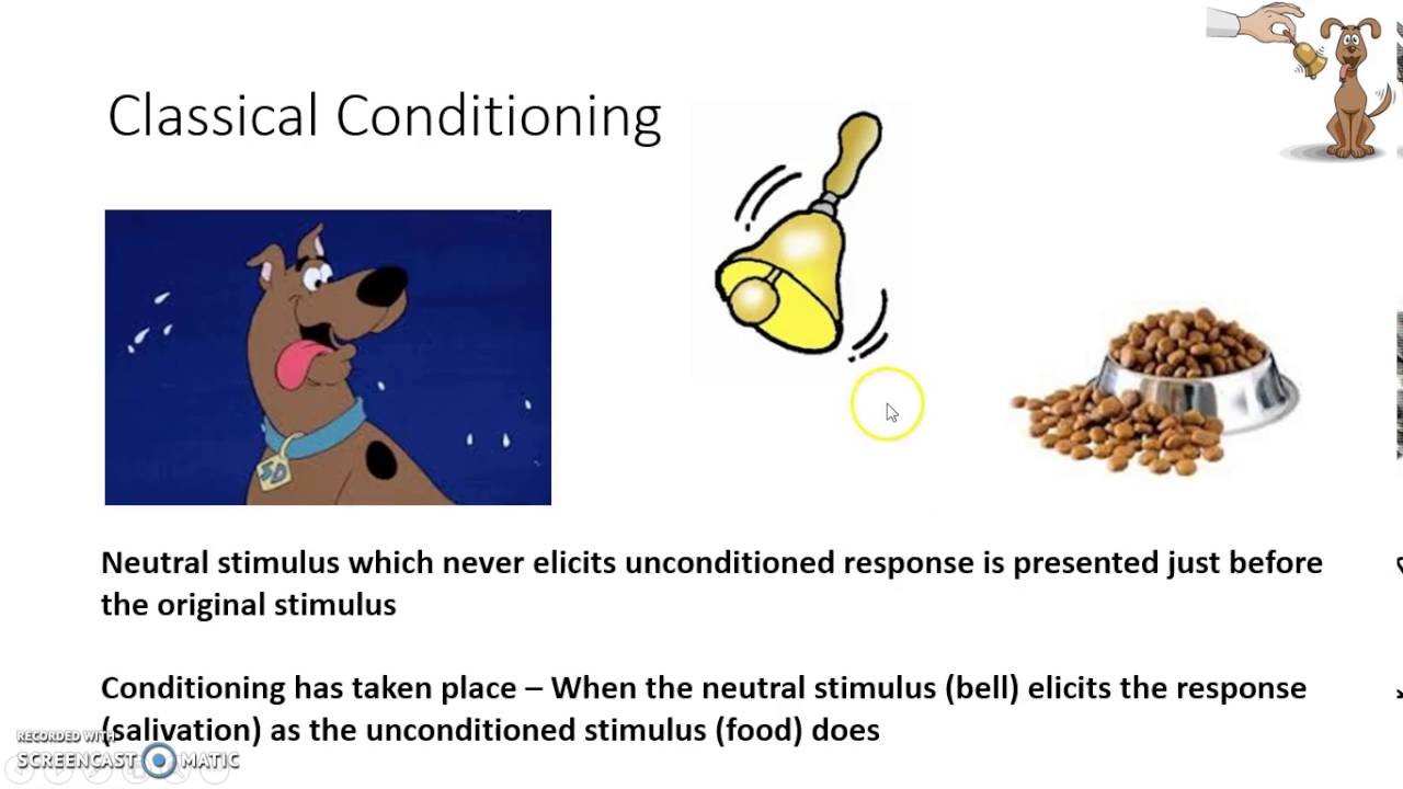 Learning Theory_Classical Conditioning - YouTube