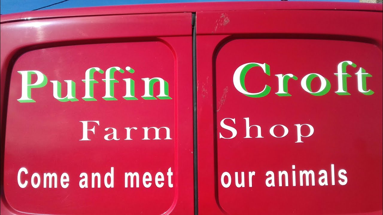 Puffin Croft Petting Zoo - YouTube