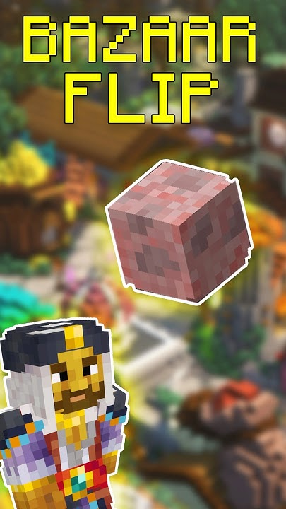 Best Bazaar Flip On Hypixel Skyblock #hypixel #hypixelskyblock # ...