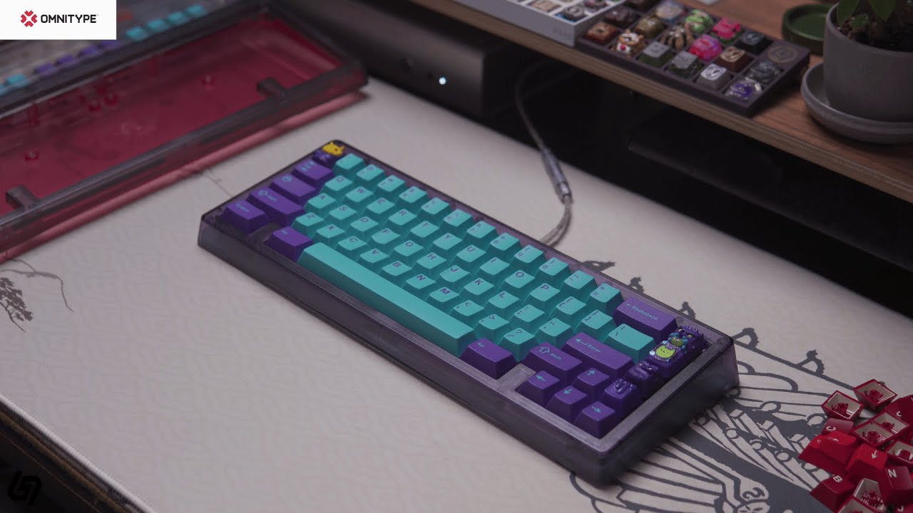 Omnitype Bauer Lite Build Stream - YouTube