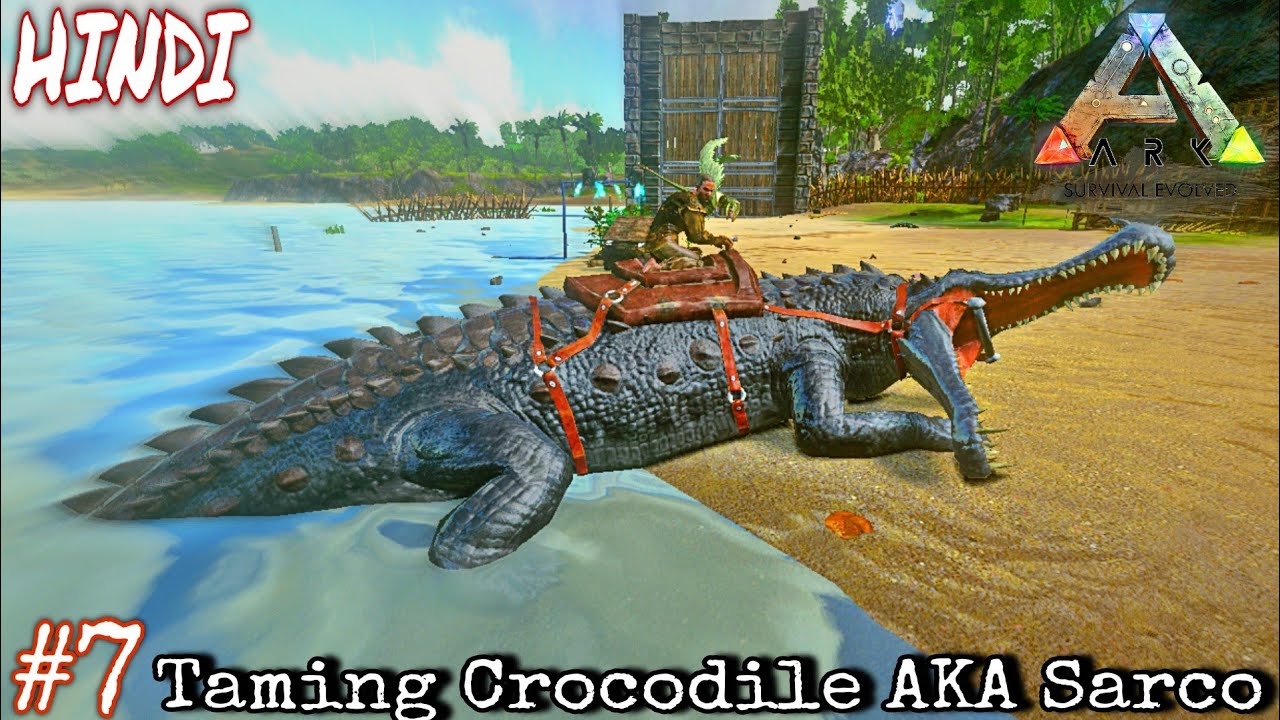 Taming A Crocodile AKA Sarco:- Deadly Dino || Ark Survival Evolved ...