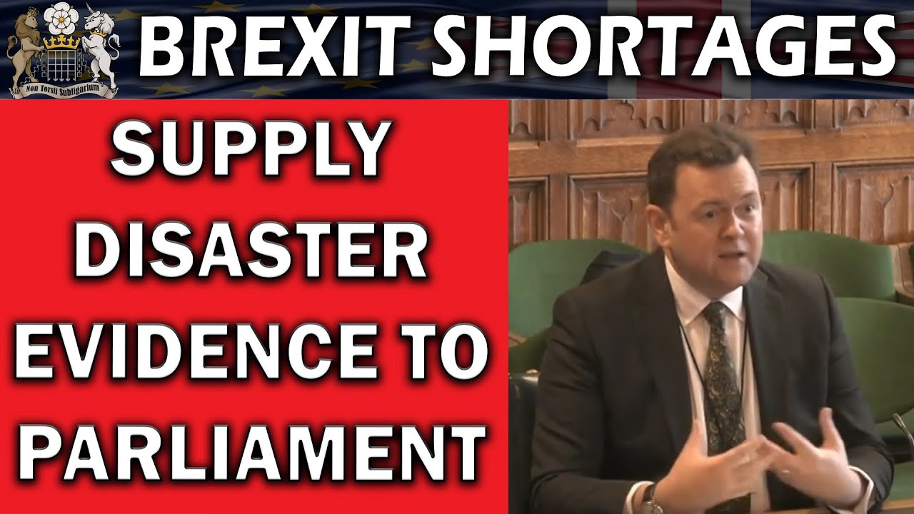 Parliament Told About Brexit Shortage Crisis by Experts - YouTube