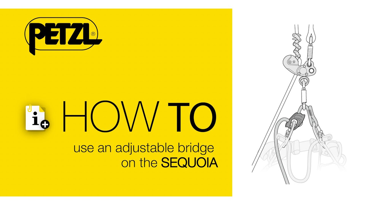HOW TO use an adjustable bridge on the SEQUOIA harness - YouTube