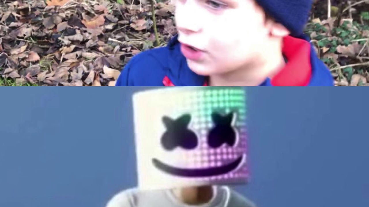 Cat FaceTime - YouTube