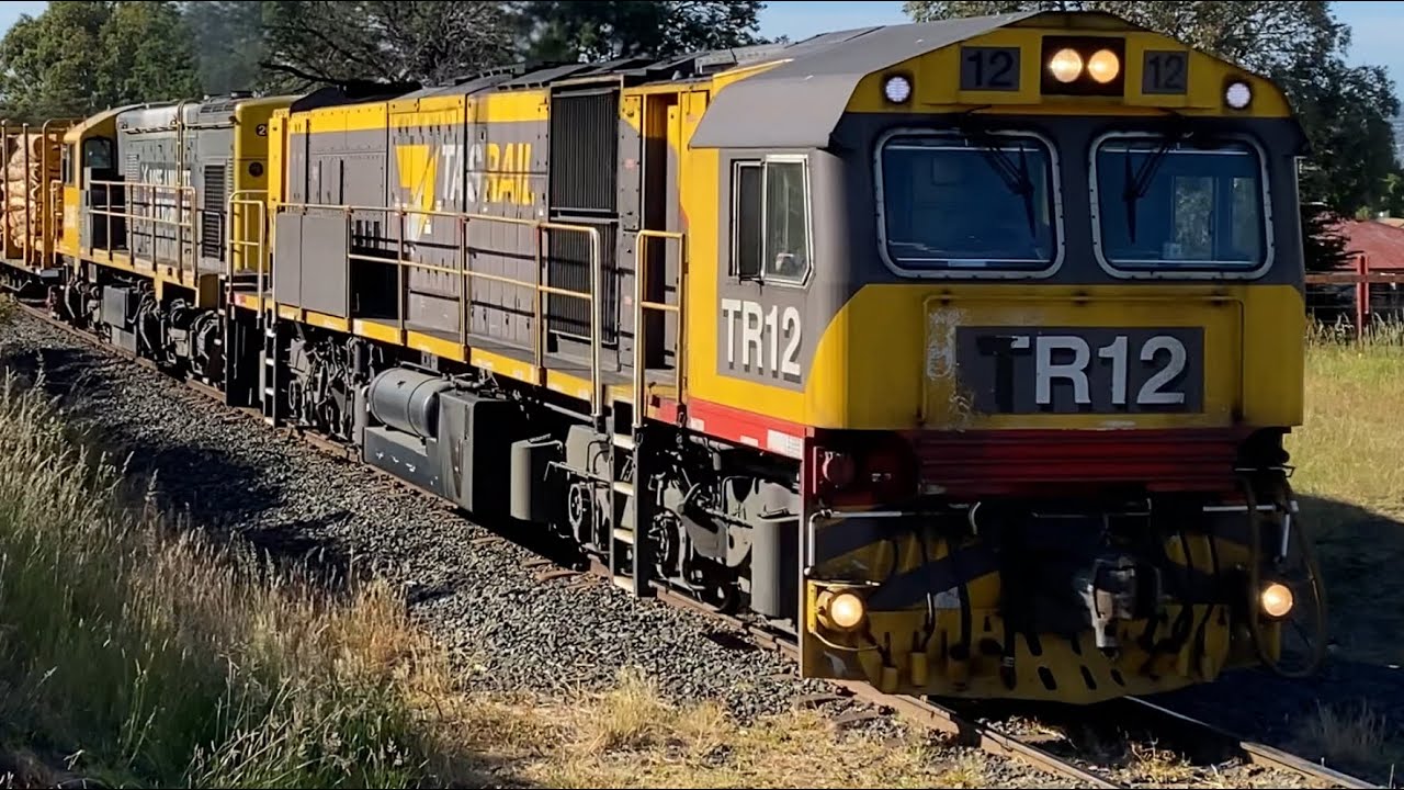 Tasrail#34 TR12 DQ2006 loaded log/container/empty coal train mayfield ...