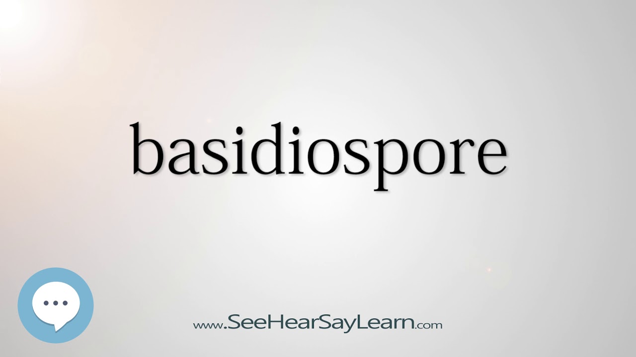 Basidiospore
