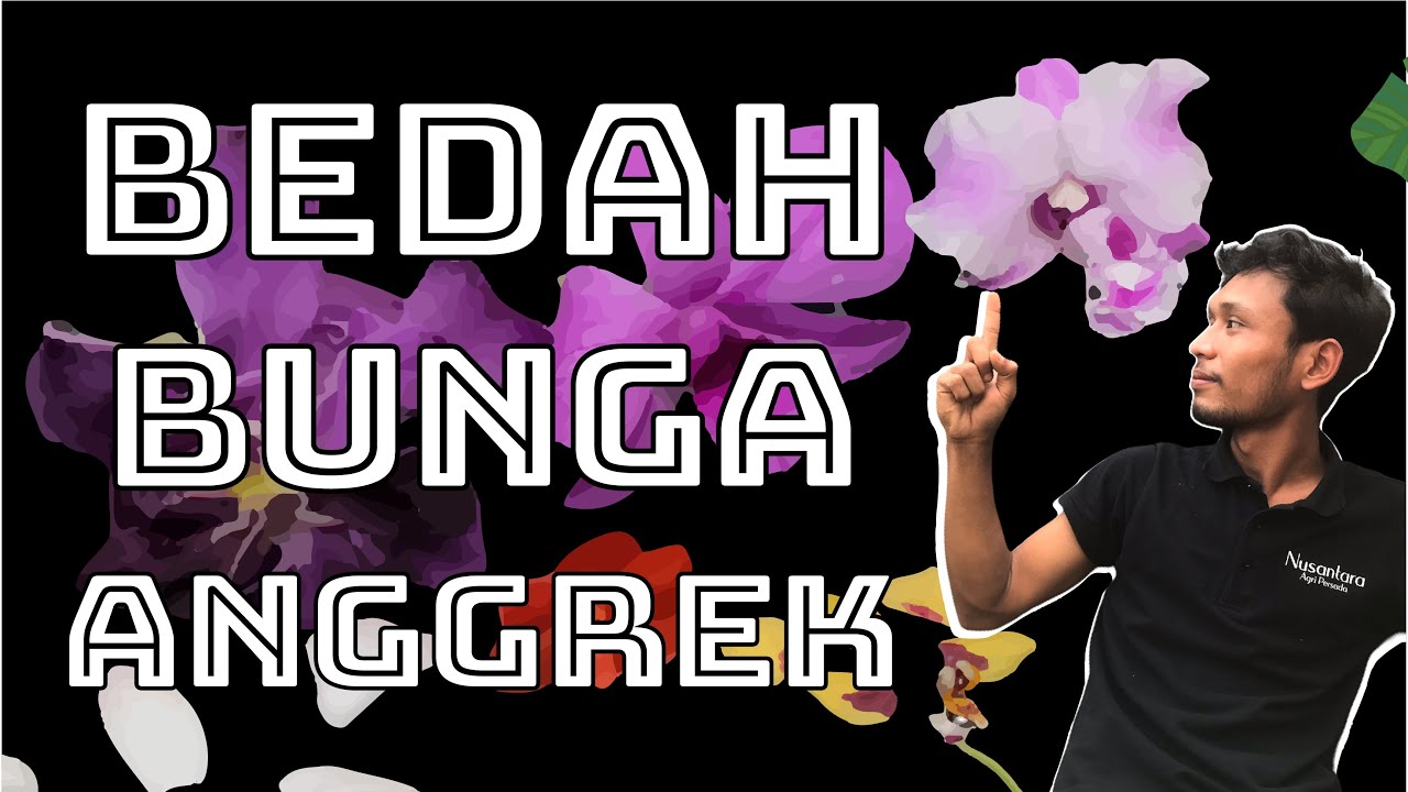 WAJIB TAHU !!! INI BAGIAN BAGIAN BUNGA ANGGREK ! MORFOLOGI BUNGA ...
